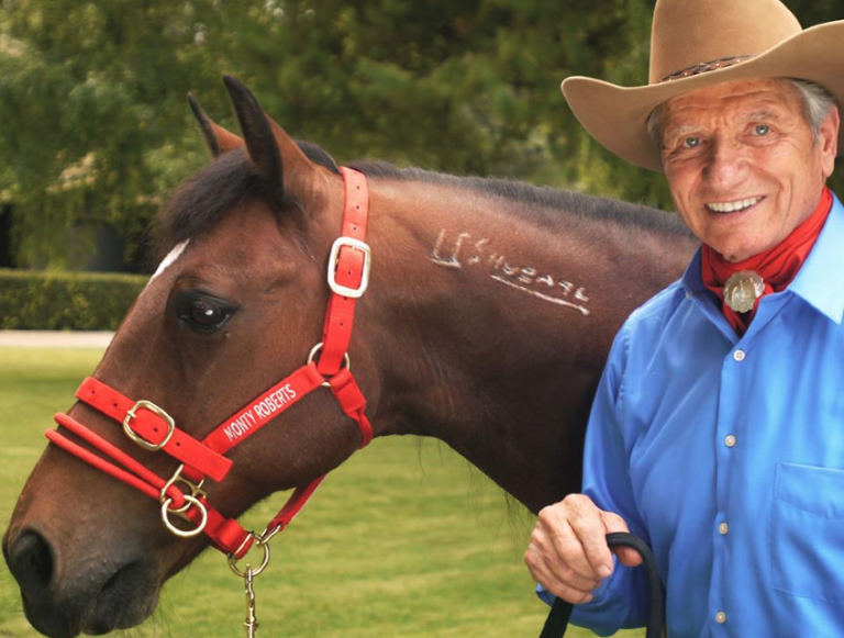 Home — Equine Info